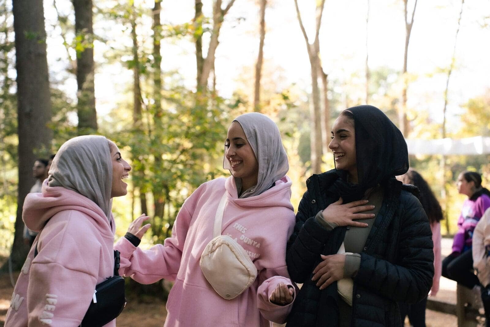 Arkanum: Start a Cohort